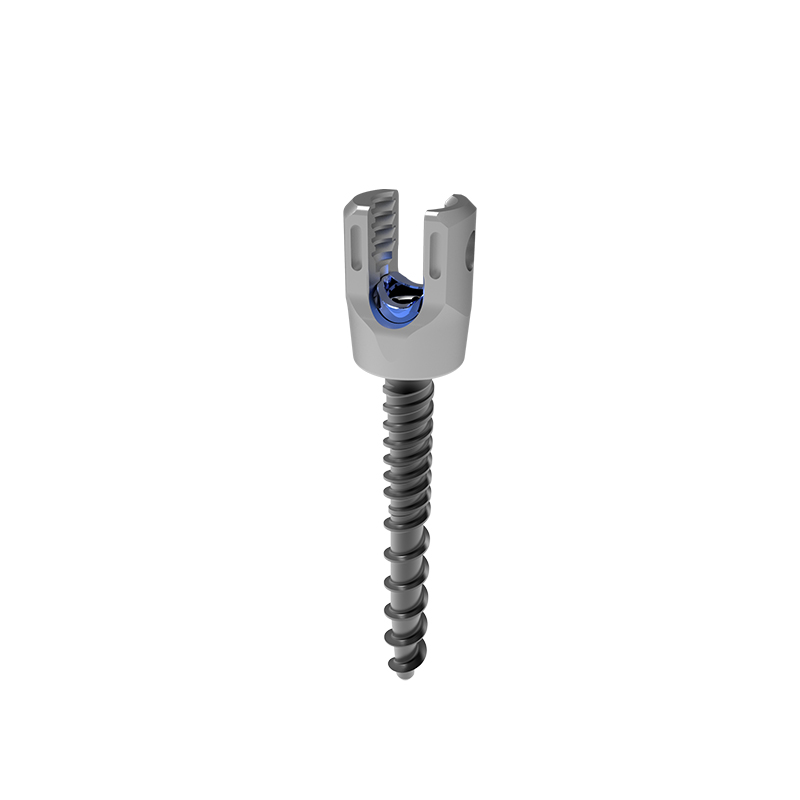 CoCrMo Thoracolumbar Posterior Pedicle Screw and Rod System 4.75