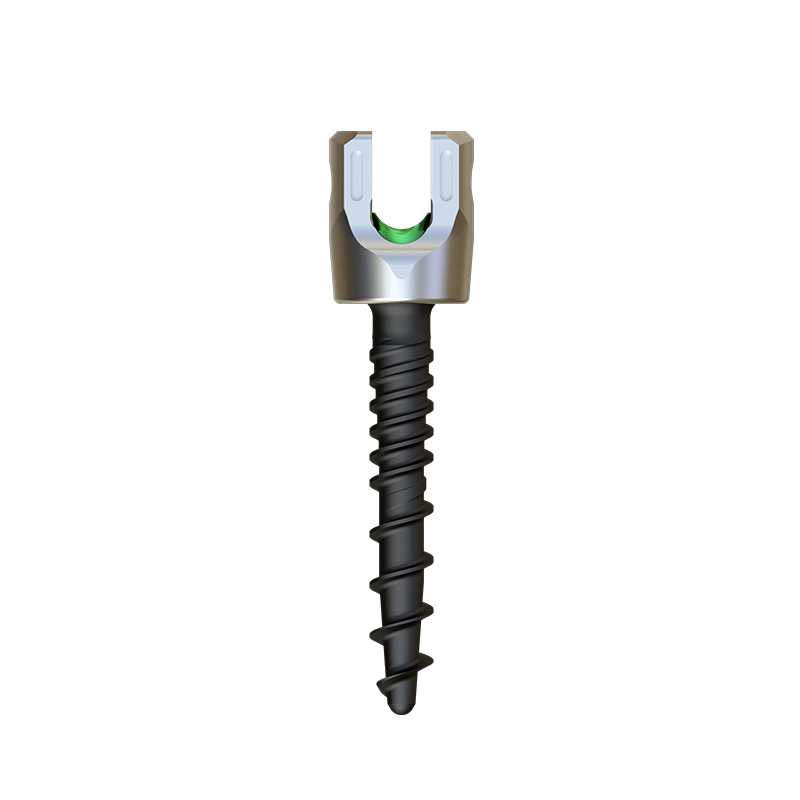 Polyaxial Screw (4.5 system)