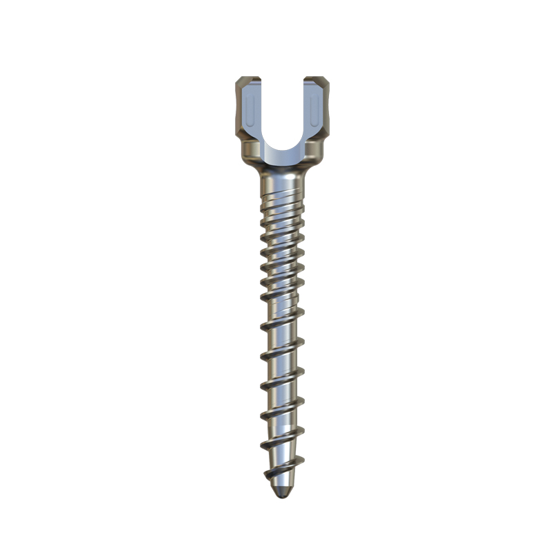Non-Anodized Monoaxial pedicle screw（6.0 system)