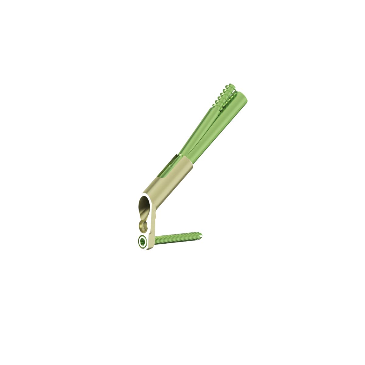 Femoral Neck System-FNS